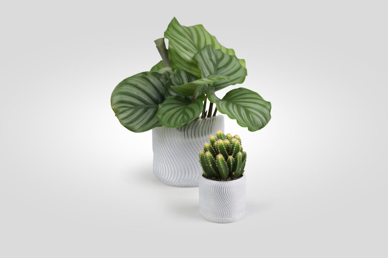 Overture | PETG | 3D Printer Filament 1.75 mm | 1KG – Overture 3D